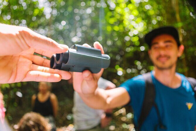 Full-Day Hakalau Forest Reserve Bird Watching Adventure - What Makes This Tour Special?