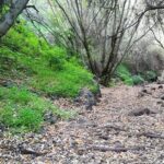Full day Hiking and Waterfalls Experience - What to Expect on the Tour