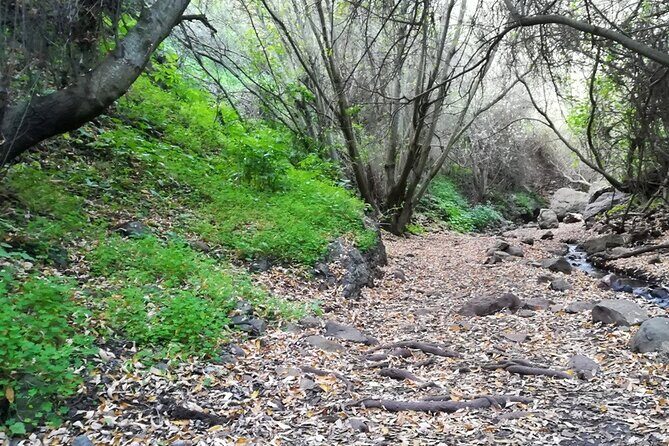 Full day Hiking and Waterfalls Experience - What to Expect on the Tour