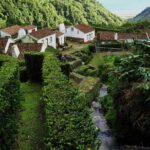 Full Day Hiking Faial da Terra (Min. 2 persons) - What Travelers Say: Authentic Experiences and Helpful Guides