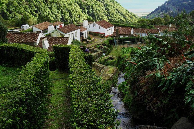 Full Day Hiking Faial da Terra (Min. 2 persons) - What Travelers Say: Authentic Experiences and Helpful Guides