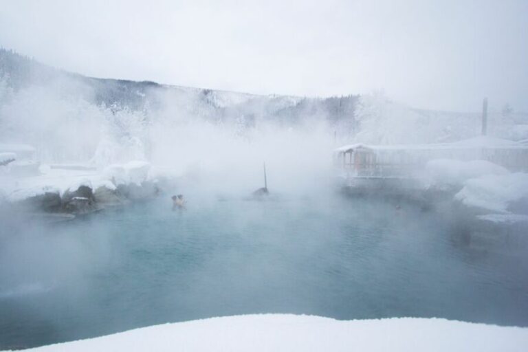 Full Day Ice Museum and Chena Hot Springs Tour - The Value: What’s Included and What’s Not