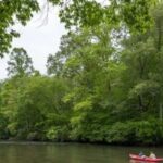 Full Day Kayak Adventure for single person - What’s Included and What You Need to Know
