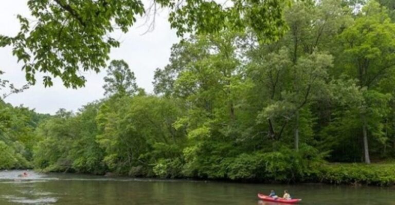 Full Day Kayak Adventure for single person - What’s Included and What You Need to Know