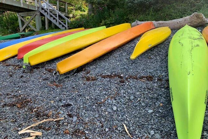 Full-Day Kayak Rental - The Sum Up