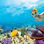 Full-Day Key West Tour and Coral Reef Snorkeling with Open Bar - Free Time in Key West: Independence Is Key