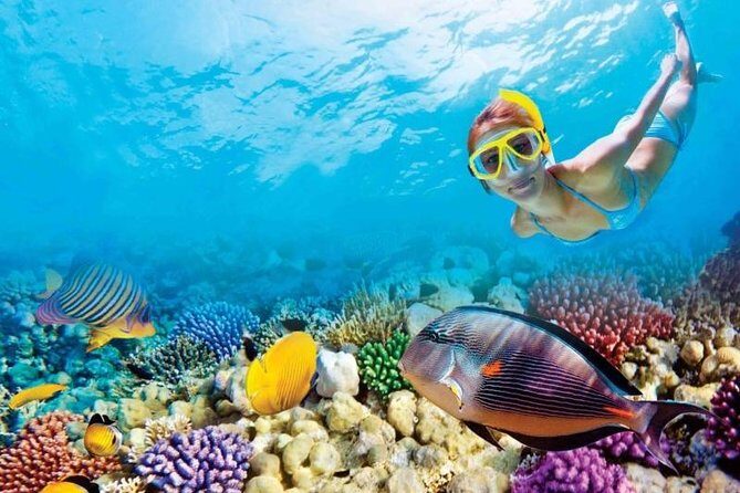 Full-Day Key West Tour and Coral Reef Snorkeling with Open Bar - Free Time in Key West: Independence Is Key