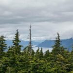 Full-Day Mount Riley Hike from Haines - What Sets This Tour Apart