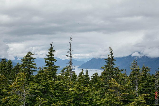 Full-Day Mount Riley Hike from Haines - What Sets This Tour Apart