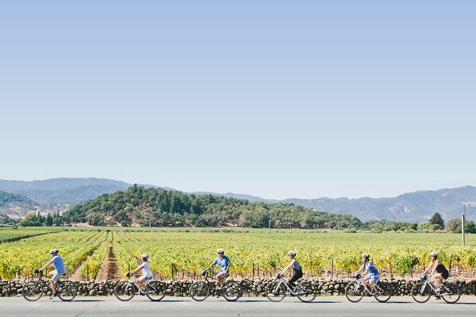 Full-Day Napa Valley E-Bike Tour with Picnic Lunch - What Travelers Are Saying