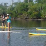 Full-Day Paddle Board Rental in Naples, Florida - The Equipment: Quality Matters