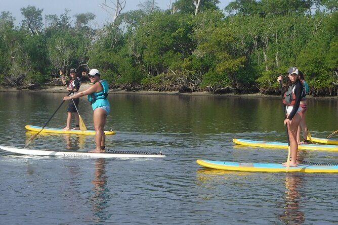 Full-Day Paddle Board Rental in Naples, Florida - The Equipment: Quality Matters