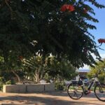 Full Day Performance eBike Rental - Setting the Scene: What to Expect from Your Day on a Performance eBike