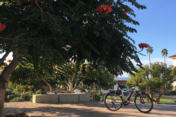 Full Day Performance eBike Rental - Setting the Scene: What to Expect from Your Day on a Performance eBike
