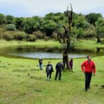 Full Day Private 4x4 Tour in West Madeira with Local Guide - Frequently Asked Questions