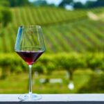 Full-Day Private Amador County Wine Tour from San Francisco - Key Points at a Glance