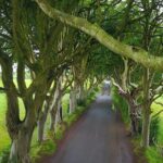 Full-Day Private Giant's Causeway Experience - An In-Depth Look at the Experience