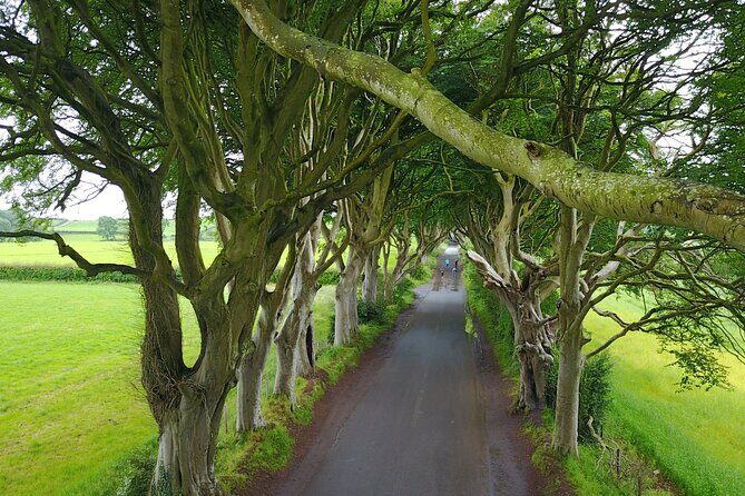 Full-Day Private Giant's Causeway Experience - An In-Depth Look at the Experience
