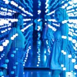 Full Day - Private Immersive Art & Wine Tour - A Full Guide to the Experience