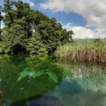 Full-Day Private Lake Ohrid and Albania Tour from Ohrid - What Makes This Tour Attractive?
