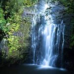 Full Day Private Maui Waterfall, Beach & Hana Tour - Detailed itinerary and what it means for you