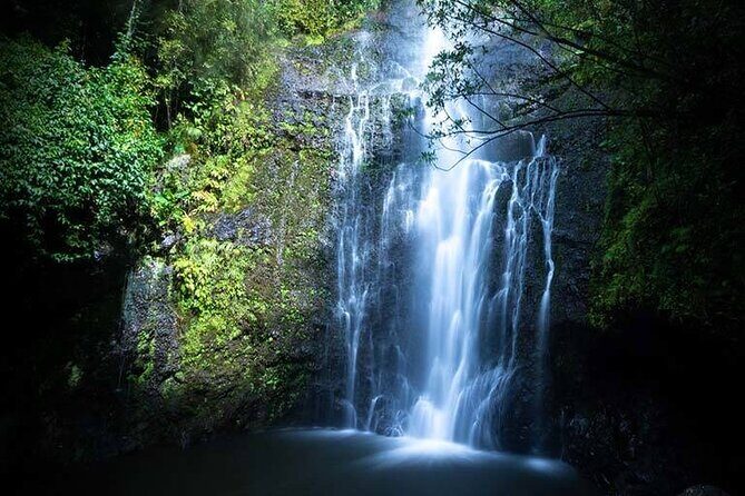 Full Day Private Maui Waterfall, Beach & Hana Tour - Detailed itinerary and what it means for you