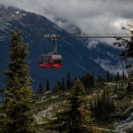 Full-Day Private Tour from Bellingham to Whistler B.C. Canada - The Itinerary: What to Expect from Dawn to Dusk