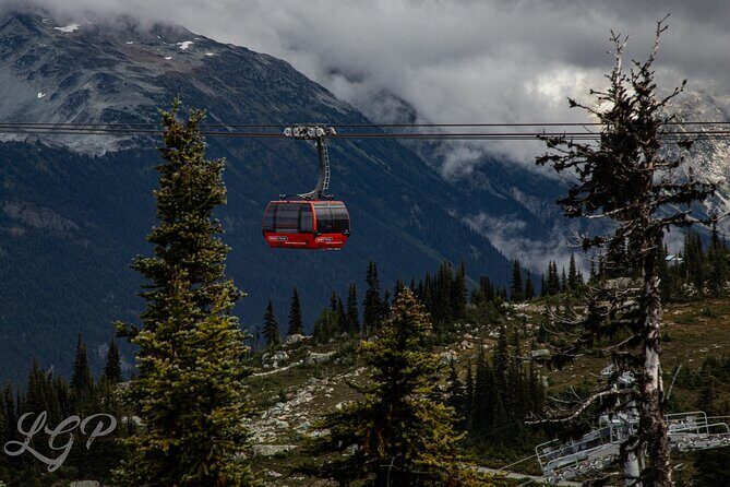 Full-Day Private Tour from Bellingham to Whistler B.C. Canada - The Itinerary: What to Expect from Dawn to Dusk