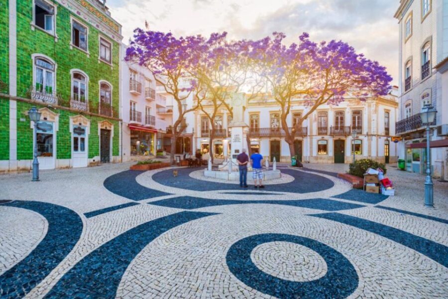 Full-Day Private Tour in Lagos and Benangil from Lisbon - Transportation and Logistics