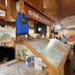 Full Day Sedona Highlights from Las Vegas - Jumping Into the Details: What the Tour Entails