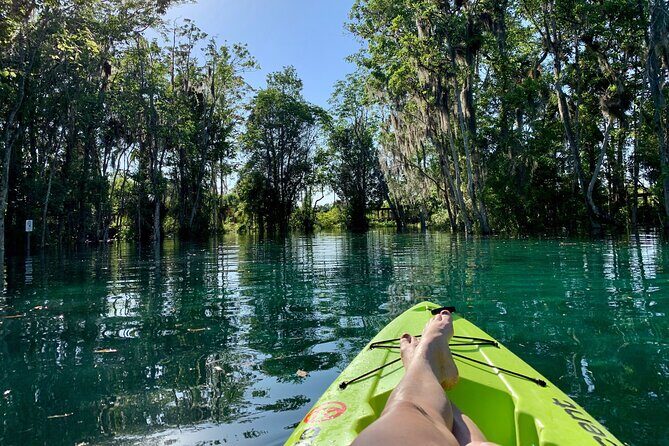 Full Day Single Kayak Rental In Crystal River - The Practical Side: Value and Convenience