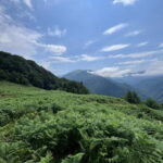 Full Day Snow Tours from Batumi - An In-Depth Look at the Adventure Itself