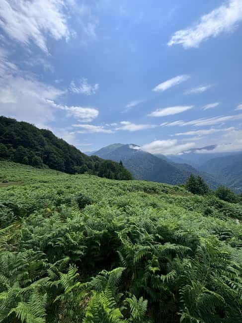 Full Day Snow Tours from Batumi - An In-Depth Look at the Adventure Itself