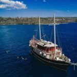 Full-Day Swimming and Snorkeling Tour in Split - Detailed Breakdown of the Itinerary