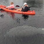 Full Day Tandem Kayak Rental For Two People In Crystal River, Florida - Itinerary and Experience Breakdown
