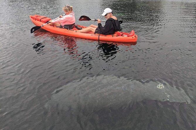 Full Day Tandem Kayak Rental For Two People In Crystal River, Florida - Itinerary and Experience Breakdown