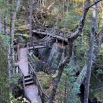 Full-Day Tour from Boston: Lost River & Flume Gorge Adventure - Practical Tips for Travelers