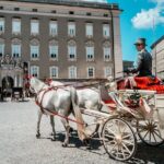 Full Day Tour from Vienna to Wachau, Melk, Hallstatt and Salzburg - Pricing & Value