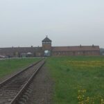 Full-Day Tour From Warsaw to Auschwitz (guided) and Krakow by car - Who Is This Tour Perfect For?
