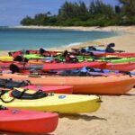 Full-Day Tour in Key West from Miami with Add-on extras - Key West Arrival: The Historic Seaport