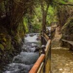 Full Day Tour in Troodos Mountains: Villages & Waterfalls - What the Experience Means for You