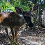 Full-Day Tour of Florida Keys Including Aquarium Encounters from Key West - Summary: Who Is This Tour Best For?