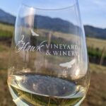 Full-Day Tour of Rogue Valley Wineries - Breaking Down the Itinerary: What to Expect at Each Stop