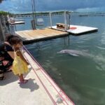 Full day tour of The Florida Keys - Key Largo Islamorada Key West - Exploring the itinerary: a detailed breakdown
