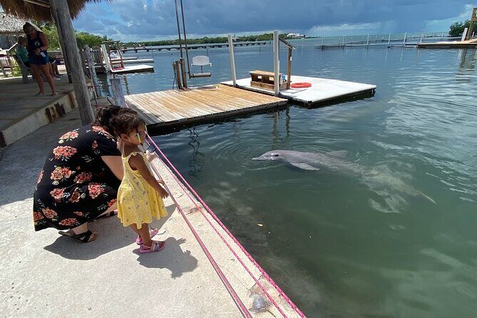 Full day tour of The Florida Keys - Key Largo Islamorada Key West - Exploring the itinerary: a detailed breakdown