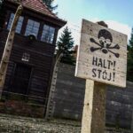 Full day tour to Auschwitz-Birkenau and Salt Mine with a local guide from Krakow - Who Should Consider This Tour?