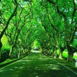 Full day Van Tour - Authentic Natural Beauty and Expert Guidance