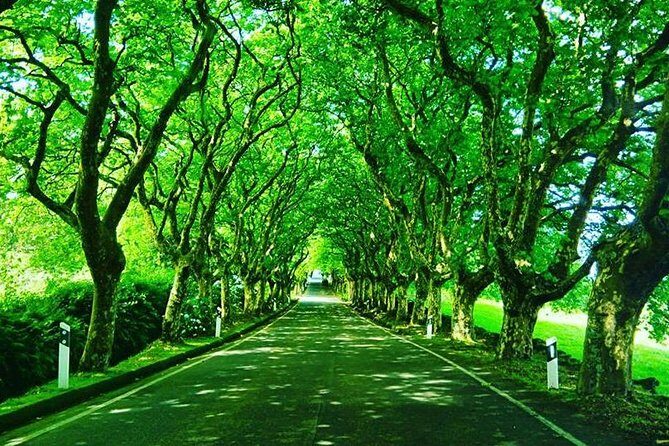 Full day Van Tour - Authentic Natural Beauty and Expert Guidance