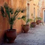 Full-Day West Crete Tour: Chania & Rethymnon Old Town and Kournas Lake - An In-Depth Look at the Itinerary