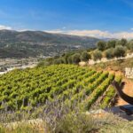 Full-day Wine Tour in Bellet & Saint-Paul de Vence from Nice - A Close Look at the Itinerary and Its Appeal